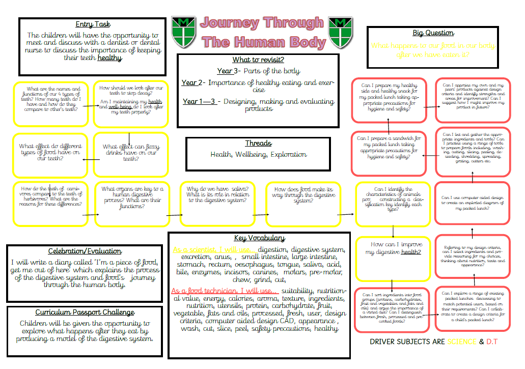 Year Four | Malvern Primary School